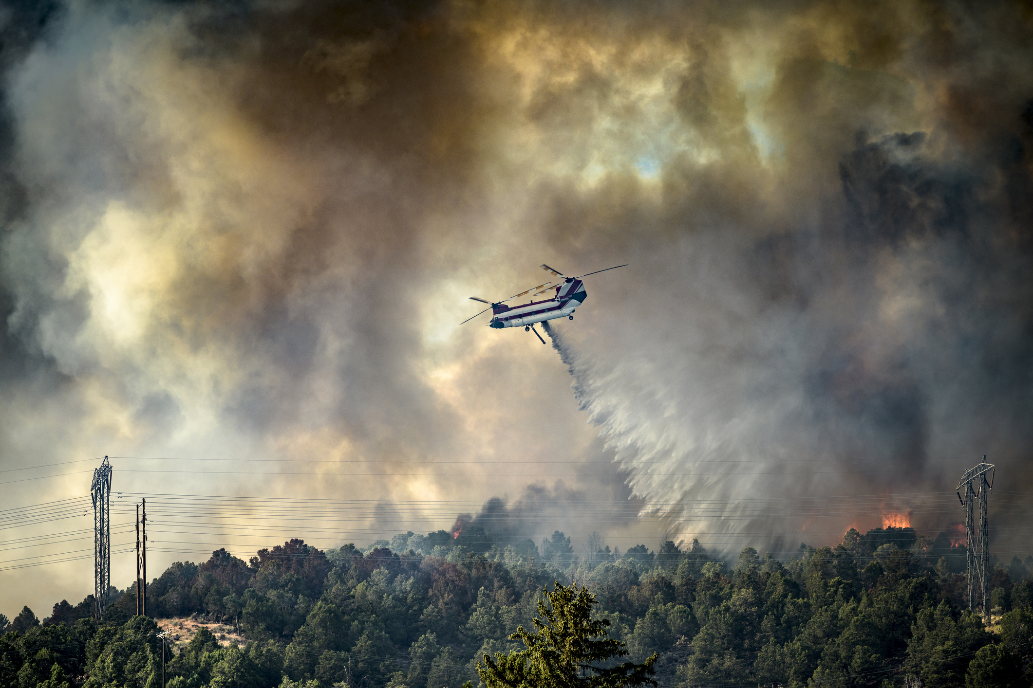 Safeguard your business from wildfires: Allianz and Triple-I team up on ...